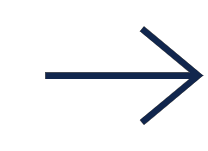 Newrizon ｜ Leader of Smart and Electric Commercial Vehicles